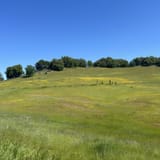 East Ridge and Cronan Ranch Loop, California - 1,061 Reviews, Map ...