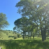 East Ridge and Cronan Ranch Loop, California - 1,061 Reviews, Map ...