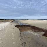 Napatree Point Conservation Area Trail, Rhode Island - 807 Reviews, Map ...