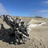 Napatree Point Conservation Area Trail, Rhode Island - 807 Reviews, Map ...