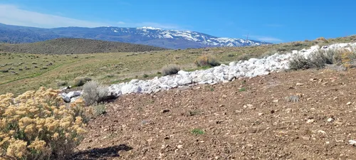 Best Bird Watching Trails in Rancho San Rafael Regional Park | AllTrails