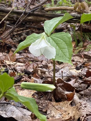 Best Easy Trails in Clark Reservation State Park | AllTrails