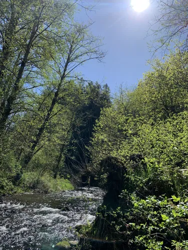Best Hikes and Trails in Sandy River Park | AllTrails