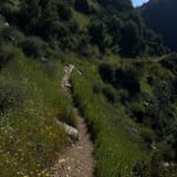 Stevens Trail, California - 4,601 Reviews, Map | AllTrails