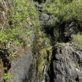 Stevens Trail, California - 4,604 Reviews, Map | AllTrails