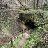 Peg Leg Mine Trail, Tennessee - 165 Reviews, Map | AllTrails