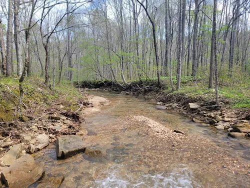 Best River Trails in Tuscumbia | AllTrails