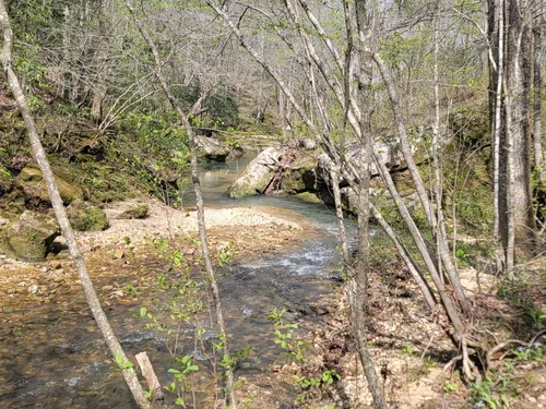 Best River Trails in Tuscumbia | AllTrails