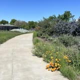 UC Davis Arboretum Trail, California - 1,359 Reviews, Map | AllTrails