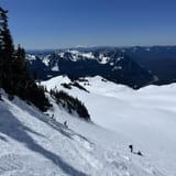 Skyline Loop, Washington - 14,780 Reviews, Map | AllTrails