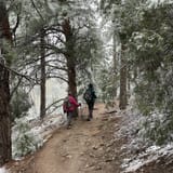 Mount Falcon Castle Trail Loop, Colorado - 5,607 Reviews, Map | AllTrails