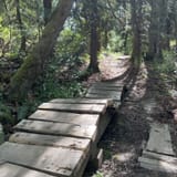 Japanese Gulch Loop Trail, Washington - 1,239 Reviews, Map | AllTrails