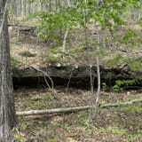 Berryman and Ozark Trail , Missouri - 149 Reviews, Map | AllTrails