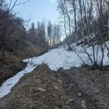 Spring Canyon Trail, Utah - 401 Reviews, Map | AllTrails
