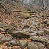 Slide Mountain Trail, New York - 1,644 Reviews, Map | AllTrails