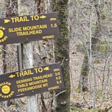Slide Mountain Trail, New York - 1,644 Reviews, Map | AllTrails