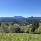 Fitton Green Natural Area Trail, Oregon - 381 Reviews, Map | AllTrails