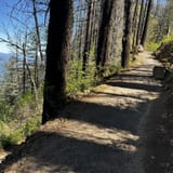 Multnomah Falls Trail, Oregon - 6,904 Reviews, Map | AllTrails