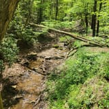 Angel Falls Trail, Tennessee - 547 Reviews, Map | AllTrails