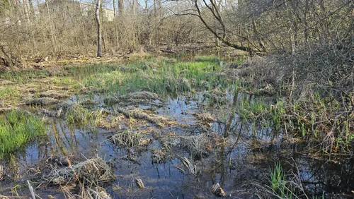 Best Hikes and Trails in Marsh View Meadows | AllTrails