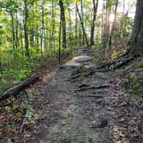 Trail Through Time, Missouri - 2,574 Reviews, Map | AllTrails