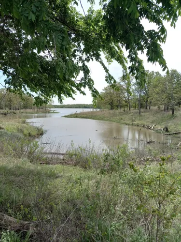 Best Hikes and Trails in Kellyville | AllTrails