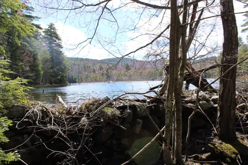 Best Bird Watching Trails in Epsom | AllTrails