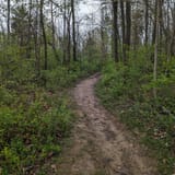 Flat Fork Ridge Trail, Ohio - 1,215 Reviews, Map | AllTrails