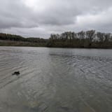 Flat Fork Ridge Trail, Ohio - 1,215 Reviews, Map | AllTrails