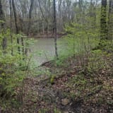 Flat Fork Ridge Trail, Ohio - 1,215 Reviews, Map | AllTrails