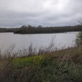 Flat Fork Ridge Trail, Ohio - 1,215 Reviews, Map | AllTrails