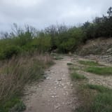 Flat Fork Ridge Trail, Ohio - 1,215 Reviews, Map | AllTrails