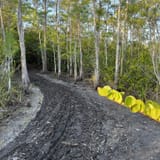 Apoxee and Owahee Trail Loop, Florida - 401 Reviews, Map | AllTrails