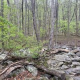 Raven Rocks via Appalachian Trail, Virginia - 5,941 Reviews, Map ...