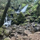 Cataract Falls Trail, California - 3,661 Reviews, Map | AllTrails