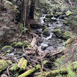 Cataract Falls Trail, California - 3,661 Reviews, Map | AllTrails