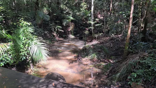 10 Best Forest Trails in Mapleton National Park | AllTrails