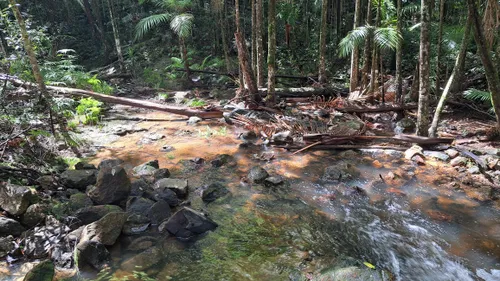 10 Best Forest Trails in Mapleton National Park | AllTrails