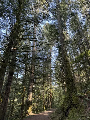 Best Lake Trails in Sooke Hills Wilderness Regional Park Reserve ...