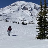 Panorama Point via Skyline Trail, Washington - 4,096 Reviews, Map ...