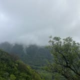 Manoa Cliff Trail, Oahu, Hawaii - 803 Reviews, Map | AllTrails