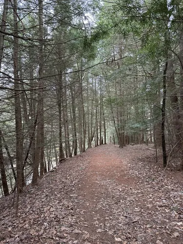 Best Hikes and Trails in Mountain Top | AllTrails