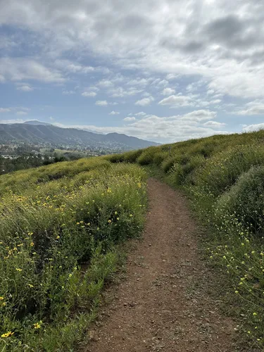 Best Hikes and Trails in Conejo Valley Botanic Garden | AllTrails