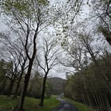 Lebanon Reservoir Loop, Pennsylvania - 360 Reviews, Map | AllTrails
