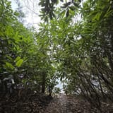 Lebanon Reservoir Loop, Pennsylvania - 360 Reviews, Map | AllTrails