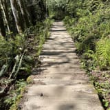 Heybrook Lookout Trail, Washington - 4,855 Reviews, Map | AllTrails