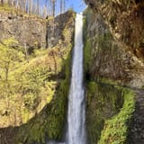 Eagle Creek Trail, Oregon - 858 Reviews, Map | AllTrails