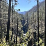 Eagle Creek Trail, Oregon - 858 Reviews, Map | AllTrails