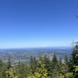 Mount Walker, Washington - 2,044 Reviews, Map | AllTrails