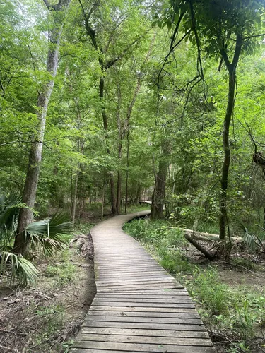 Best Forest Trails in Huntsville State Park | AllTrails